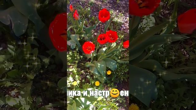 Весеннего вам позитивчика и настроения!