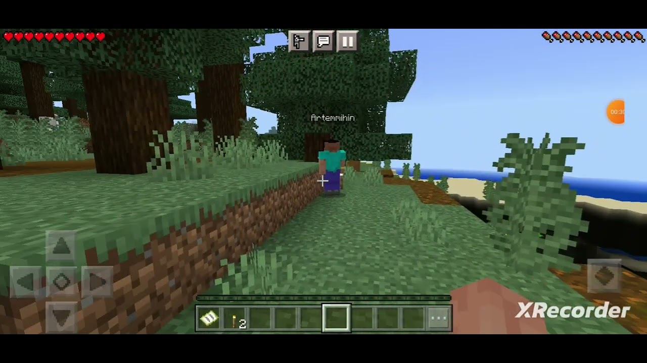 затролил Артёма иксреем XRAY Minecraft