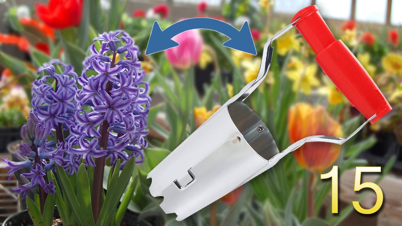 Лучшие товары для вашего сада и огорода с АлиЭкспресс