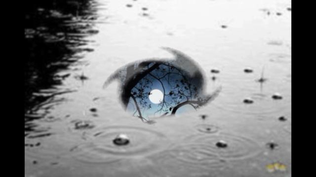 по мокрым скверам