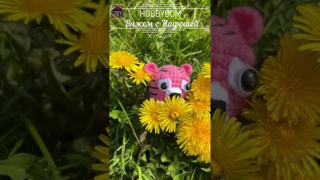 Одуванчики люблю всех порадовать хочу