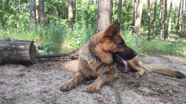 Короткий отдых на точке и в путь