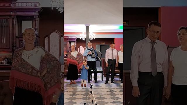 Посиделки под баян