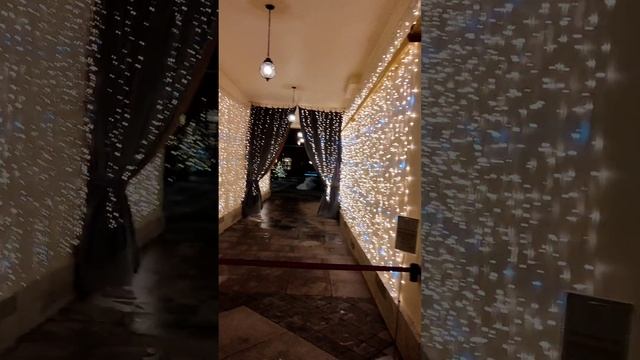 Новогодний Петербург 2023