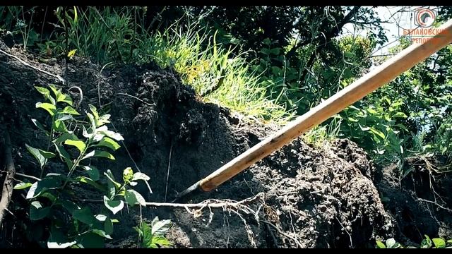 ШОУ 1762 гость Сергей Перелыгин.mp4