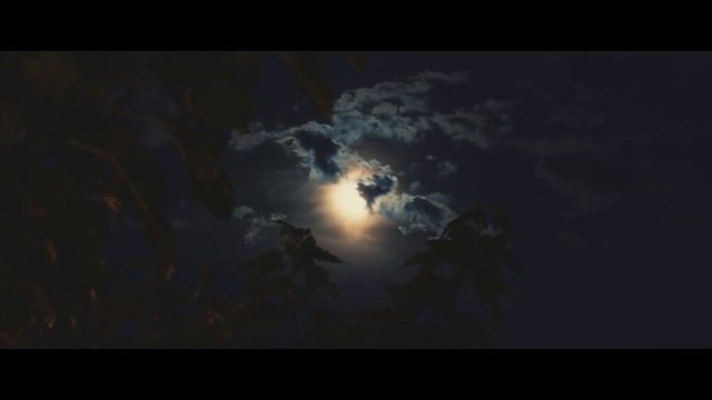 Нашид на арабском языке ضحكت فقالوا الا تحتشم.