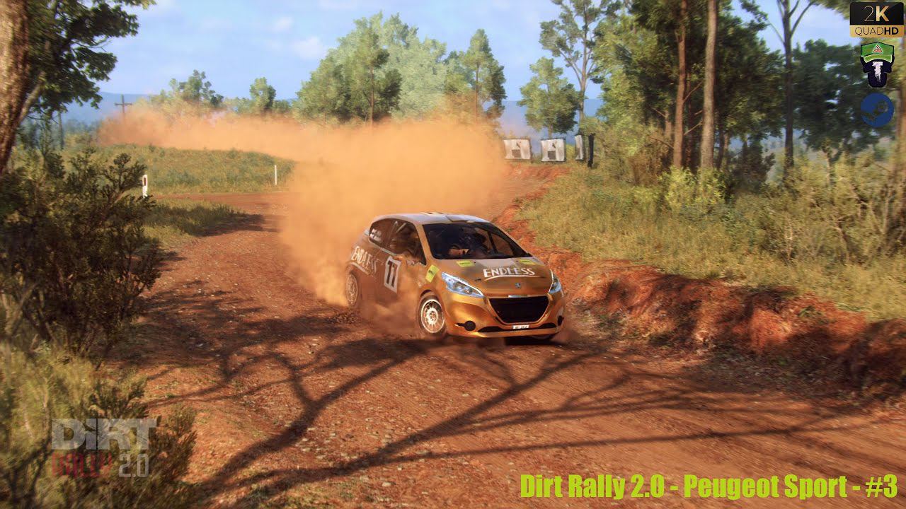 Dirt Rally 2.0 - Peugeot Sport - #3