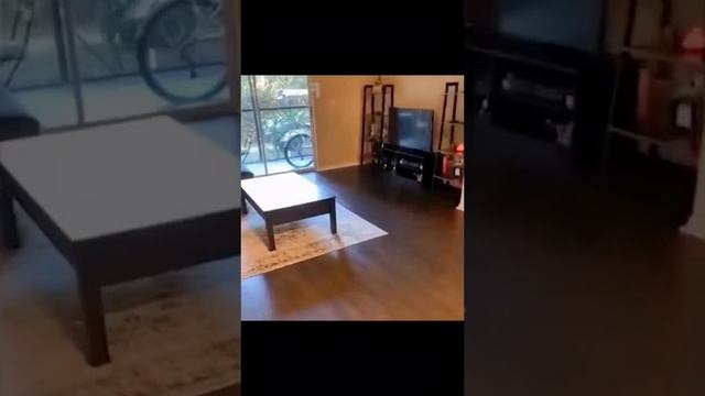 Забавные питомцы 3