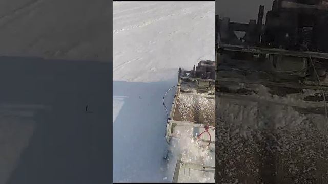 Самодельная мотособака