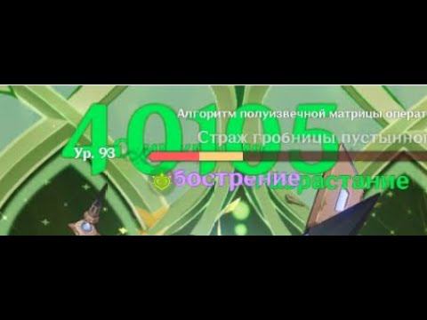 Урон Нахиды и Синобу