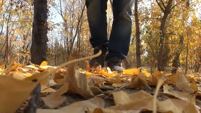 Хорошее лето. 2021. Астраханский яхт-клуб.mp4