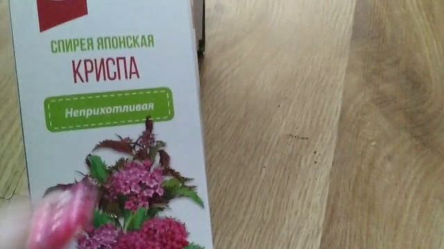 Кустарники с фикспрайса..mp4