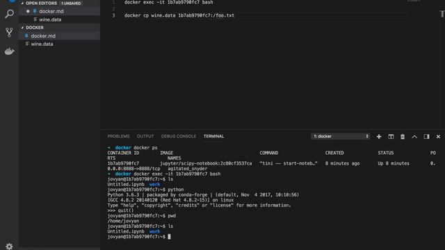 КАК СКОПИРОВАТЬ ФАЙЛЫ В КОНТЕЙНЕР ► Docker для Data Science #5