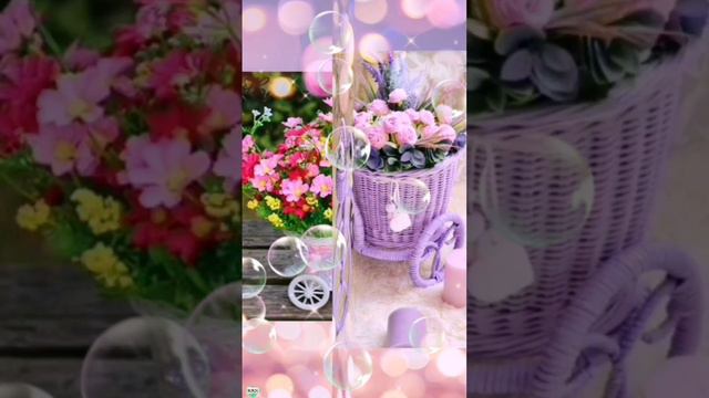 Доброго утра