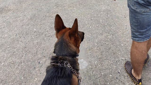 Кабардино-балкария. Долина нарзанов