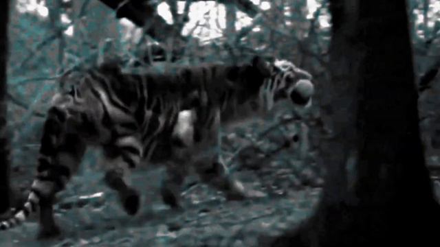 Raven x Beast Boy  - Not Exeeding