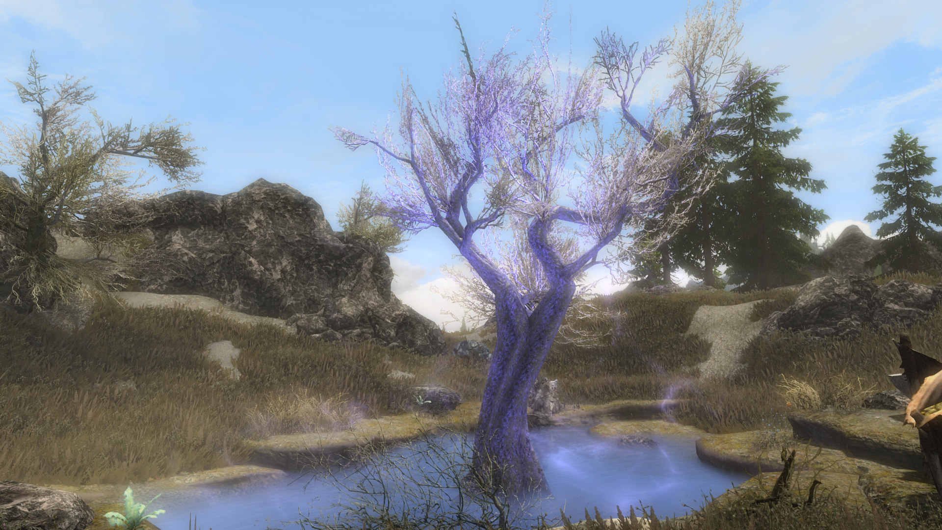 Ультра графика в Skyrim (4К). Часть V