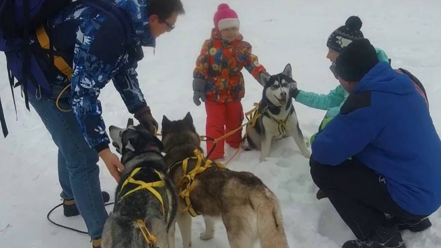 Воскресная практика, Кожухово. 01.02.2019