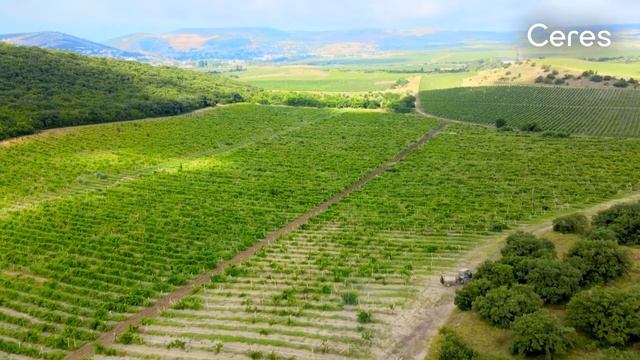 Ceres на выставке _Винорус. Винотех_