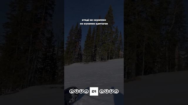 СЕНІҢ ТҰТАС ӨМІРІҢ