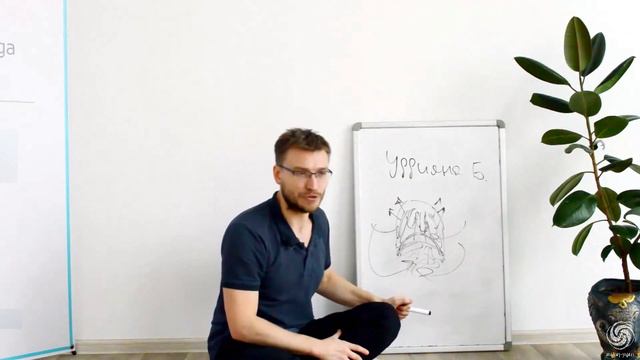 Бандхи и мудры