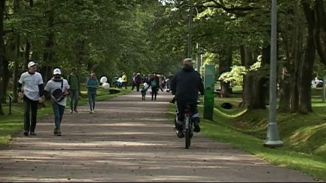 Фестиваль безопасности дорожного движения (сент.mp4