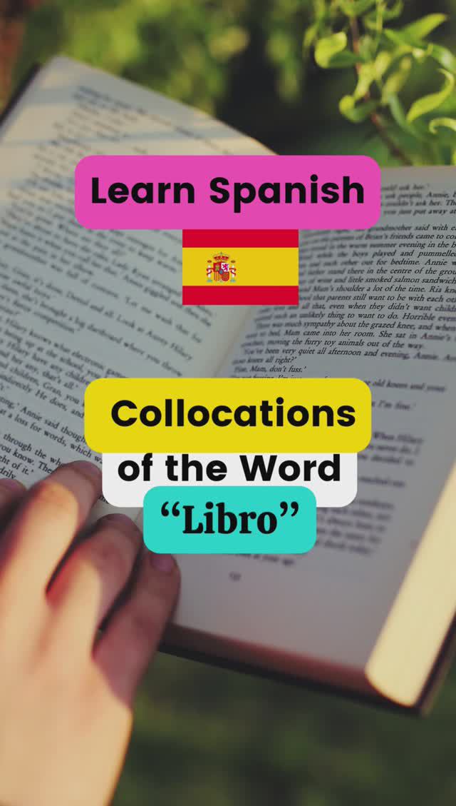 Learn Portuguese vocabualry