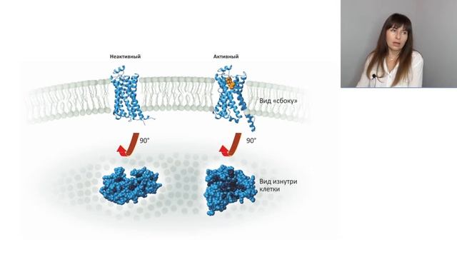 В 2020-11-24. ИННОВАЦИИ 2020 МНОГОКОМПОНЕНТНЫЕ ПРЕПАРАТЫ КОМПЛЕКСНОГО ДЕЙСТВИЯ