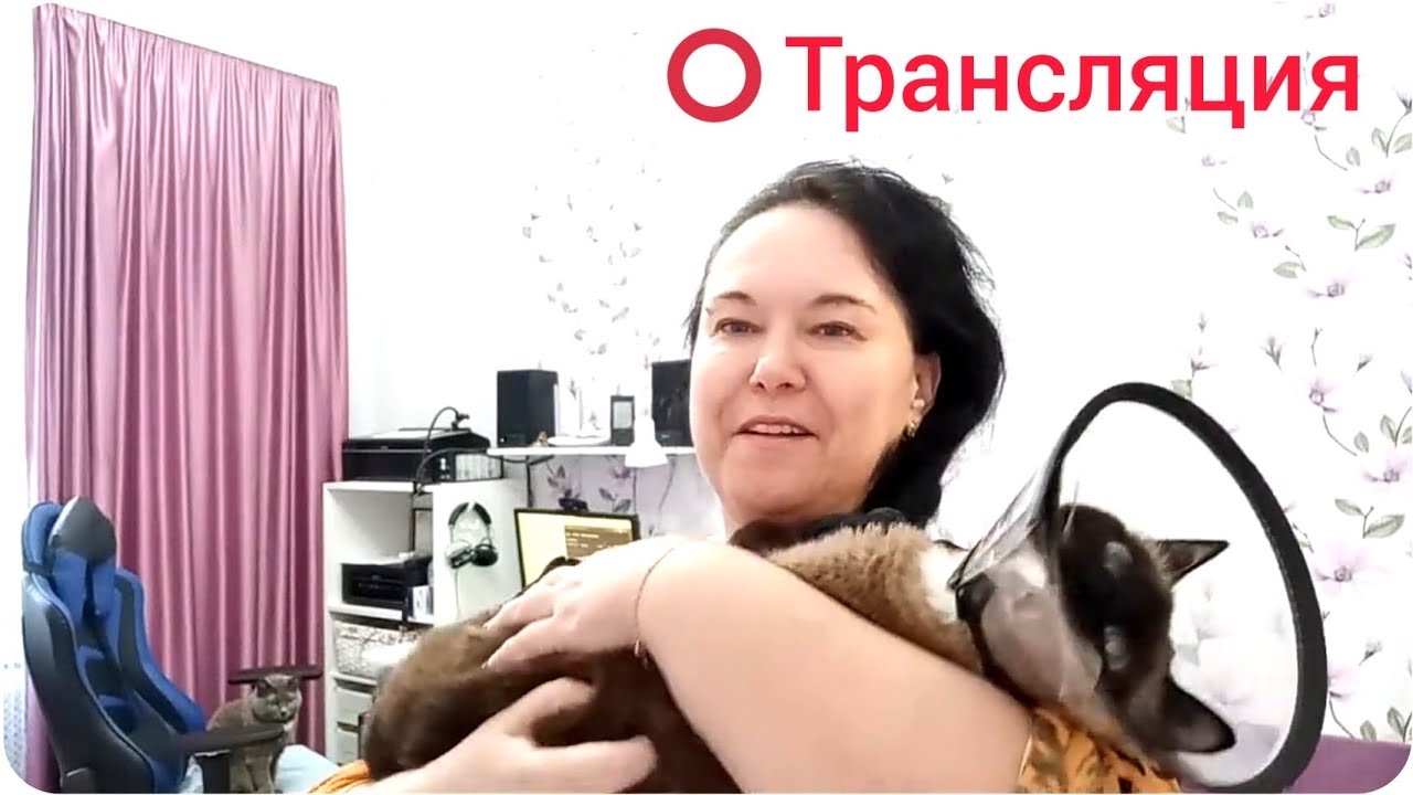 Кошка выздоравливает, картины вышиваются. Рассказываю как прошел день.