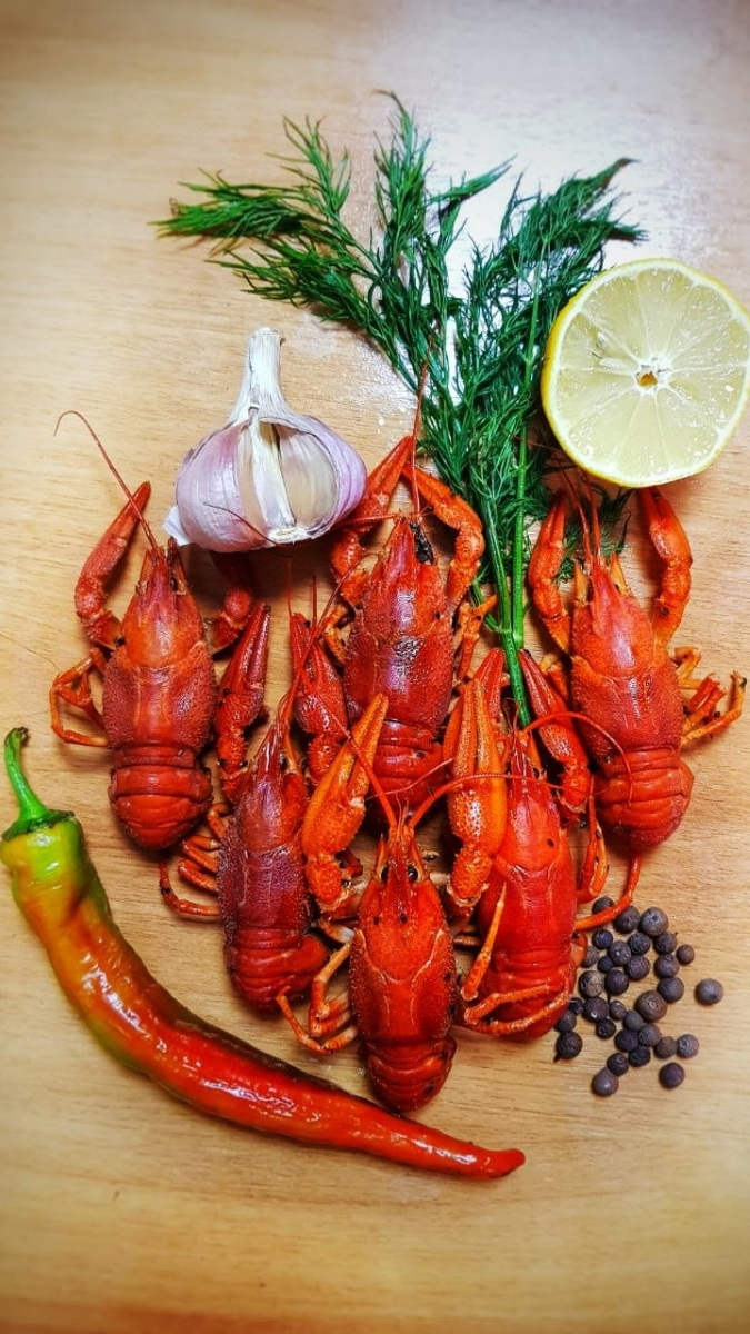 Лобстеры Нижнего Дона  #shorts  #fishing #lobster