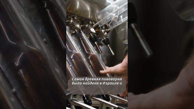 🍺 🍺 🍺 🇮🇱