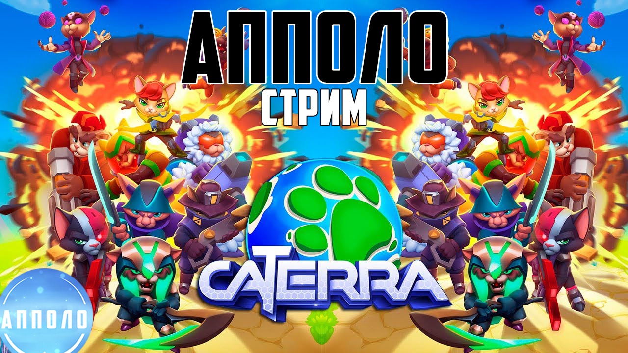 Caterra, тестим свеженькую игру!