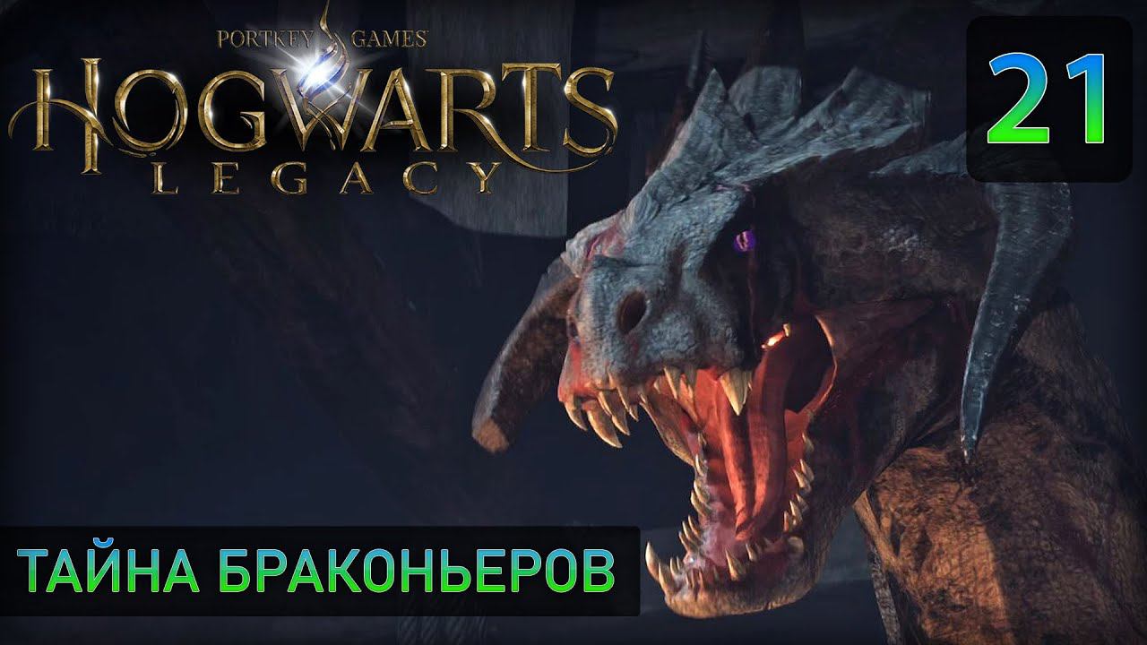 Тайна браконьеров - Прохождение Hogwarts Legacy #21