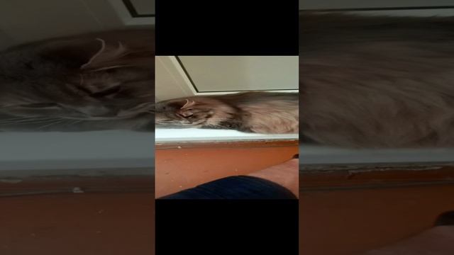 возмущённый ?