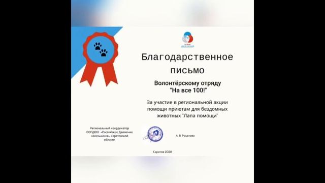 Волонтеры школы