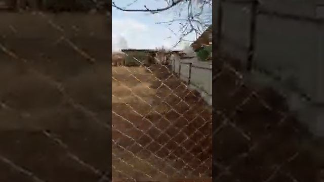 Сравнение заборов