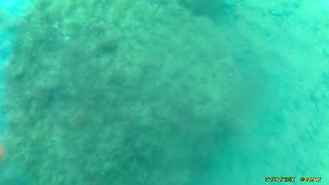 Нырял и нашел античные колонны  Коп под водой