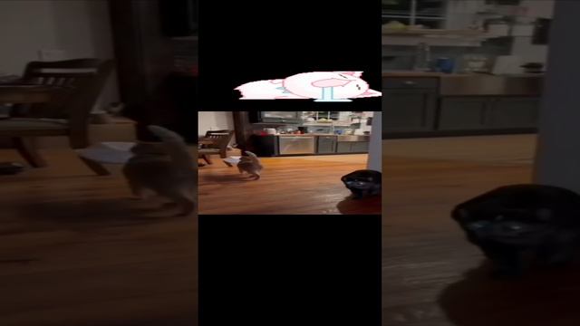 если бы у меня был такой ?