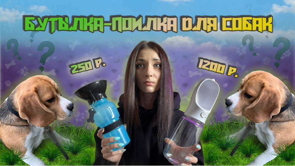 Бутылка-поилка для собак|Сравнила бутылки 250 руб. VS 1200 руб.