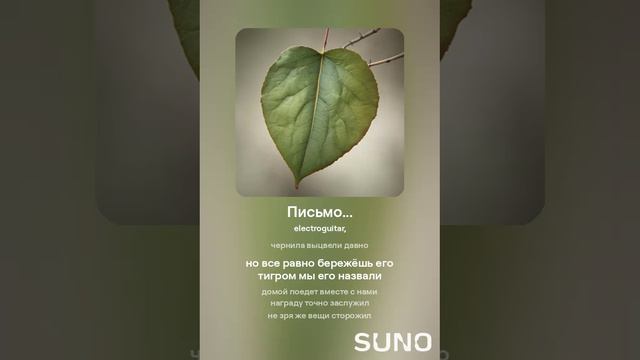 Хирурггг и Suno - Письмо...