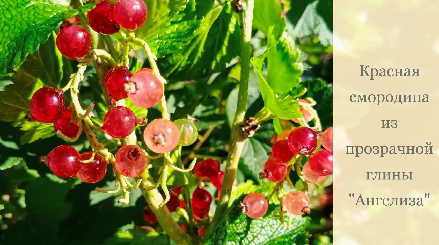 Красная смородина из прозрачной глины Ангелиза, холодный фарфор. Моя работа с натуры.