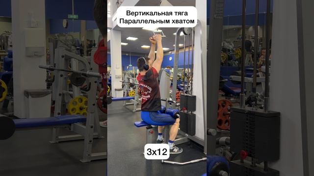 Подготовка к осени. Цикл 1, спина/бицепс день 2 💪💪💪 #shorts