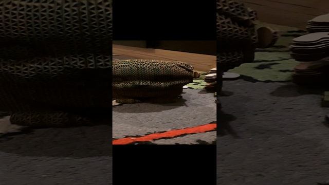 2 серия Кошки против короля