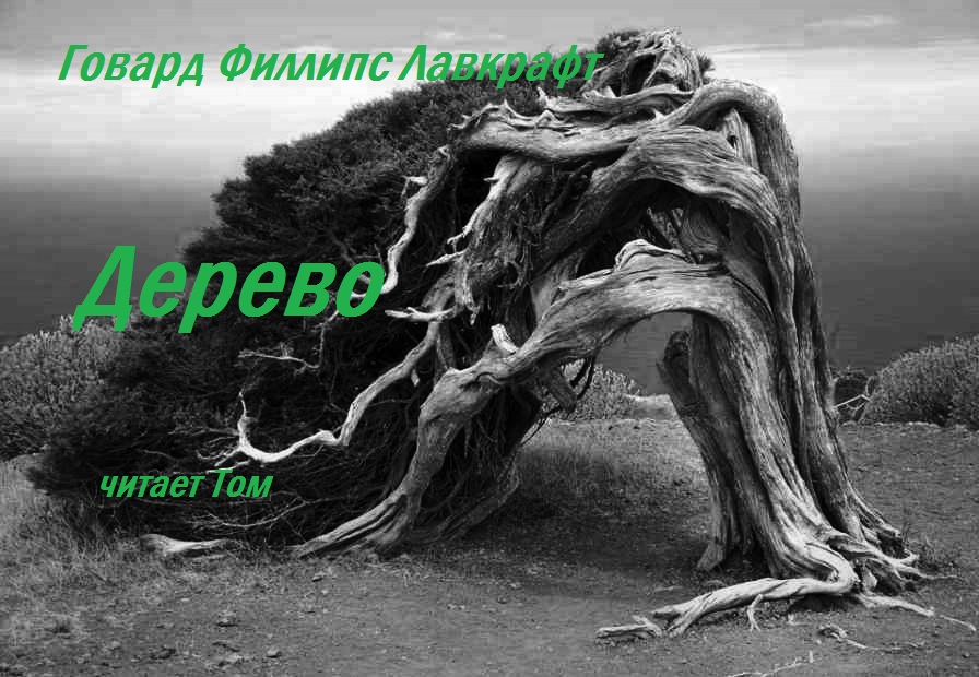 Говард Филлипс Лавкрафт - Дерево [читает ♠  Том].mp4