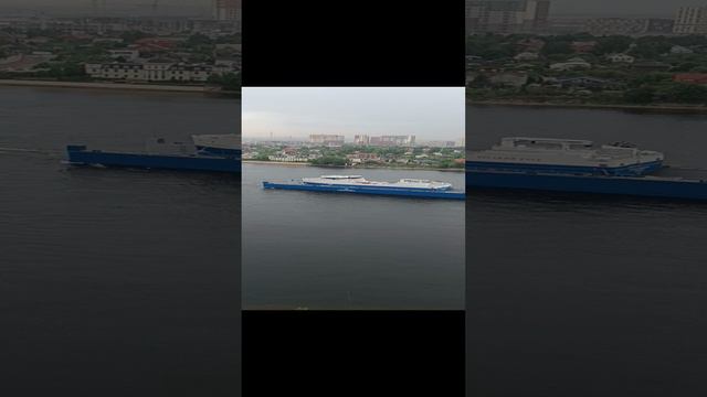 Русский краб