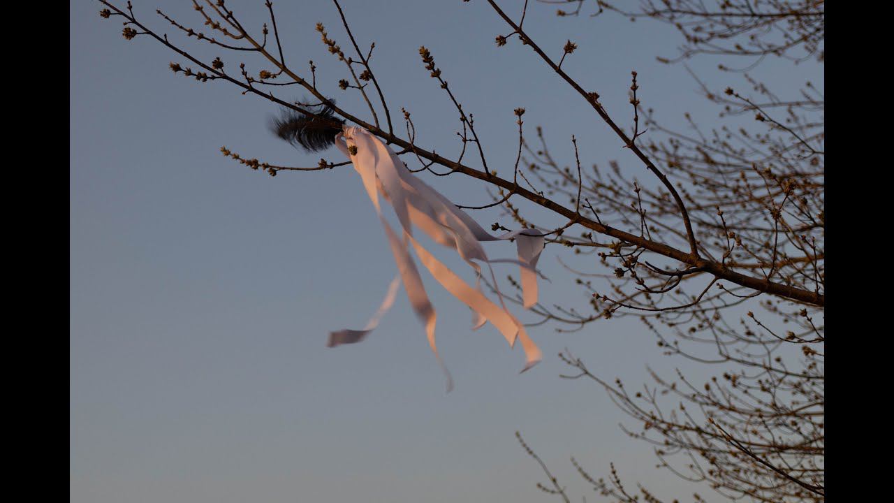 N.Tesla – Красная