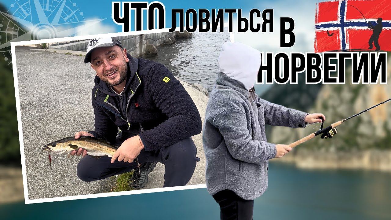 ПЕРВАЯ РЫБАЛКА В НОРВЕГИИ | УЧУ ДЕВУШКУ ЛОВИТЬ РЫБУ В ФЬОРДАХ