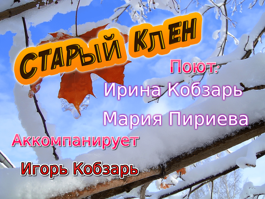 Старый клен.mov