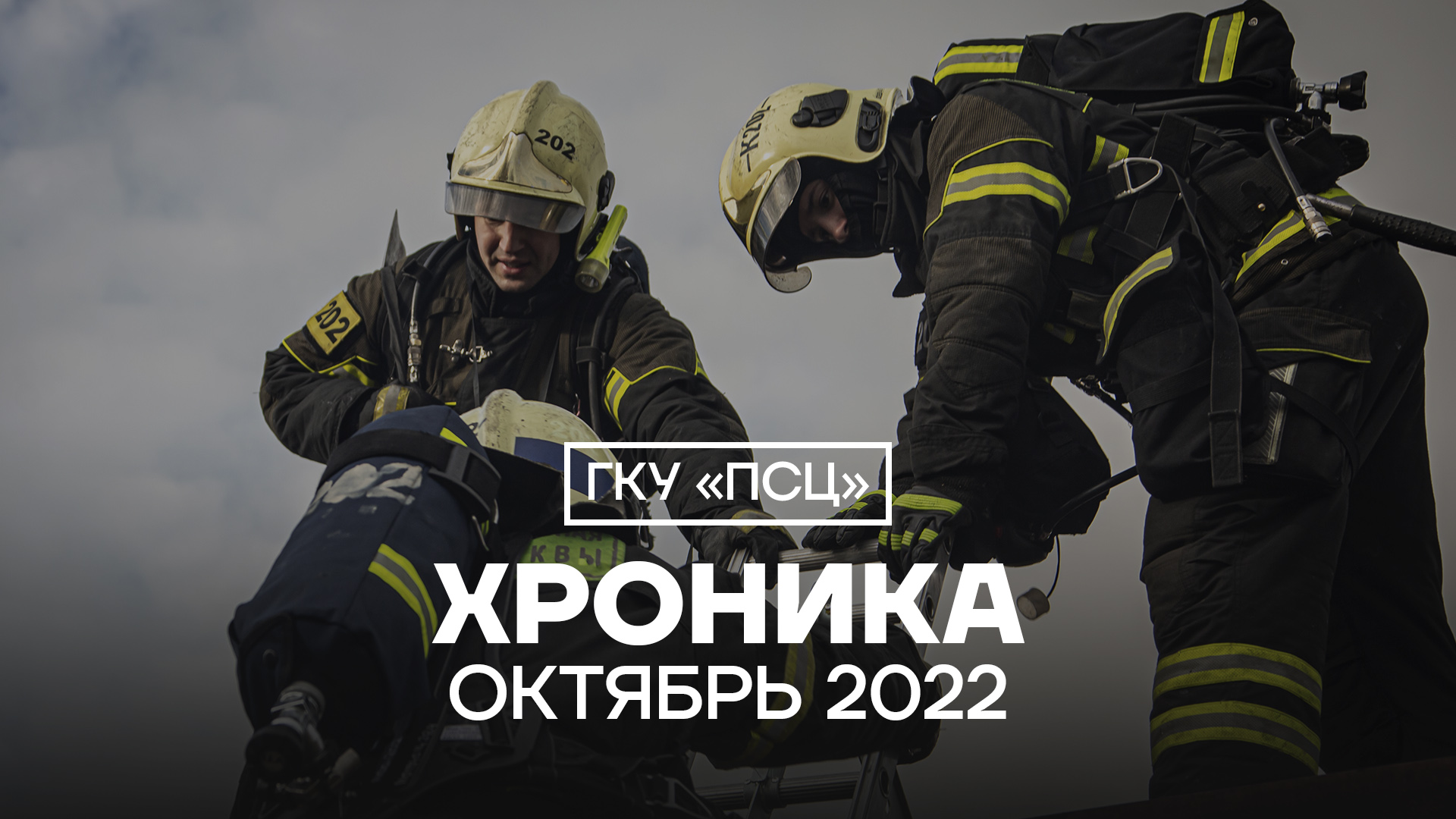 Хроника ГКУ «ПСЦ»|Октябрь 2022