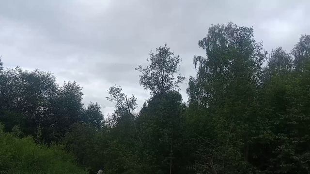 Близ богом забытых ДЕРЕВЕНЬ. В поисках ЕДЫ! Грибное место не сработало. Mushroom place
